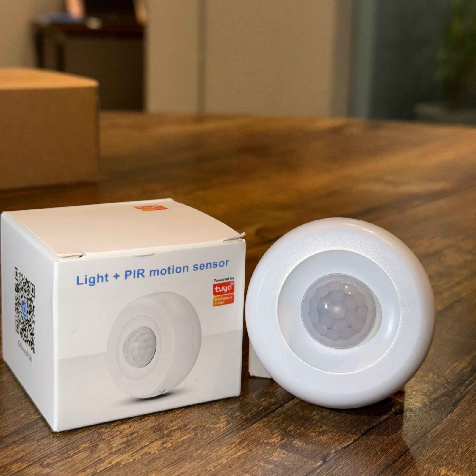 PIR Motion Sensor | Brilliantix Smart